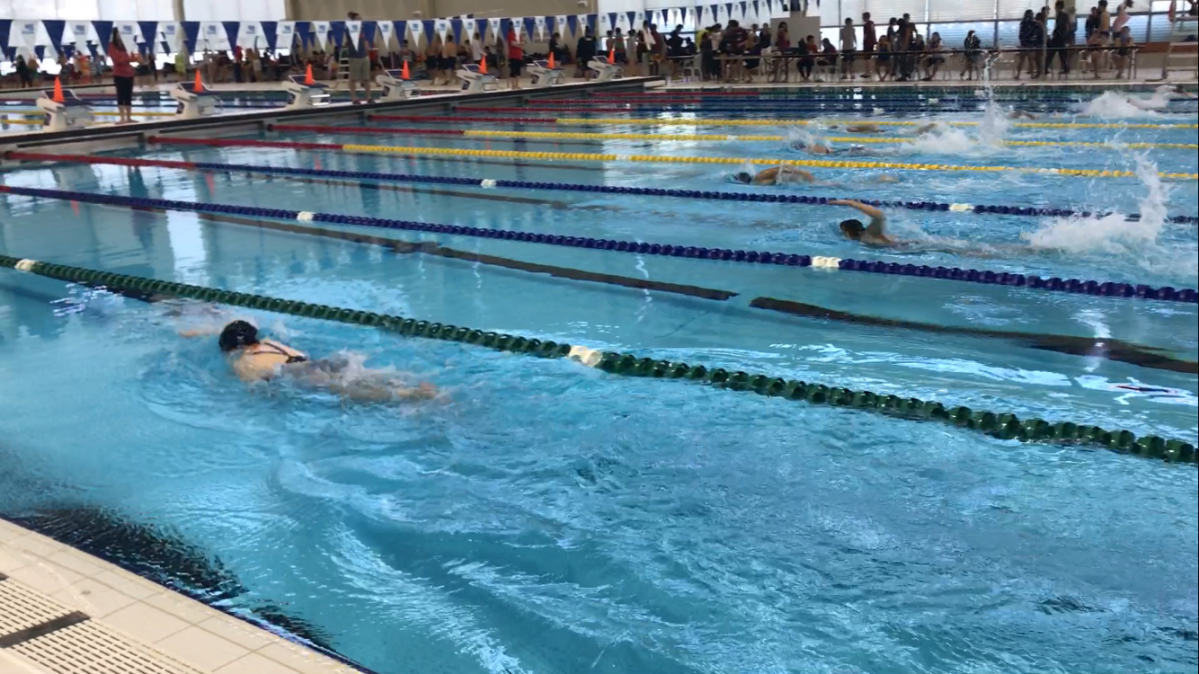 Race to the Finish – Titan Times